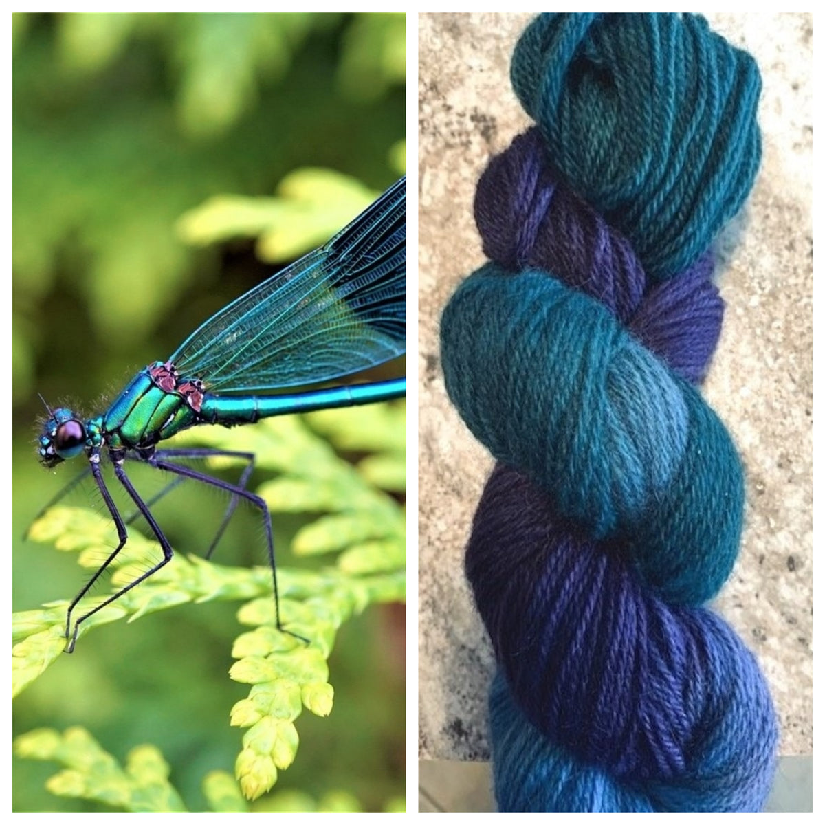 Bella BFL/Gotland Fingering Dragonfly – Peaceful Yarns