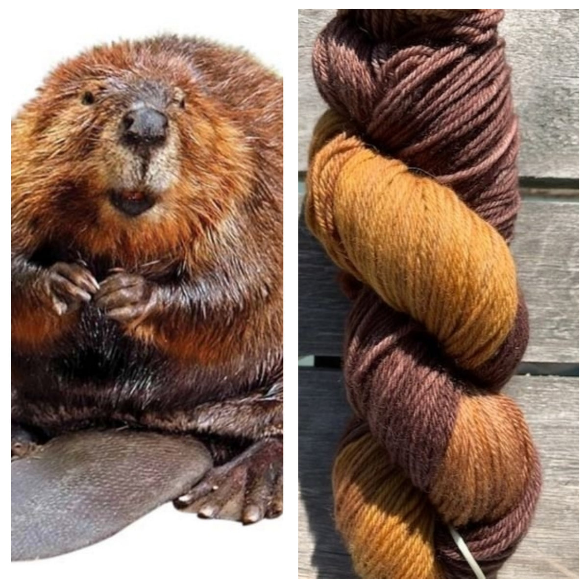 Delightful DK 75/25 The Beavers – Peaceful Yarns